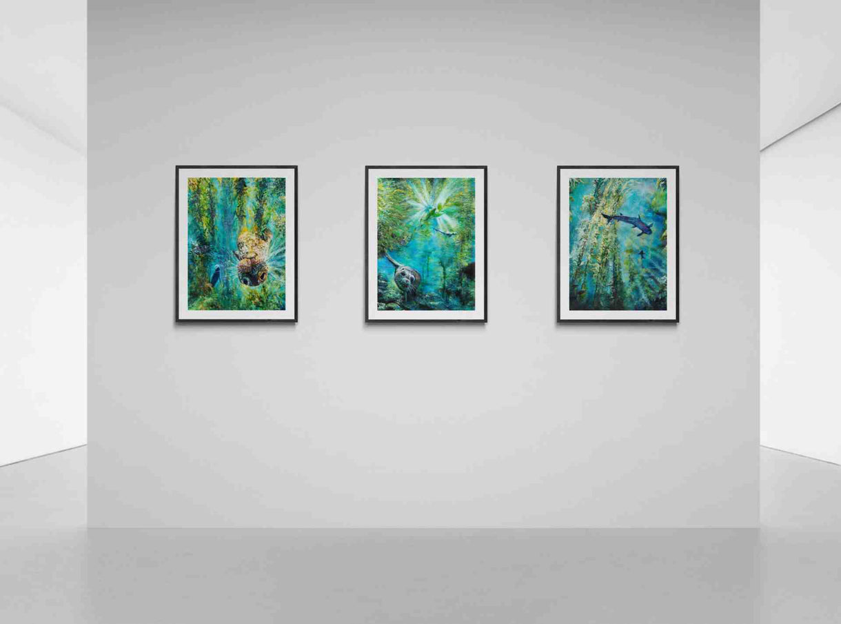 Curiosity – Aglae Matl Art